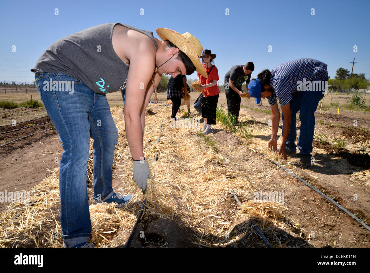 Cesar chavez farm workers hi-res stock photography and images - Alamy