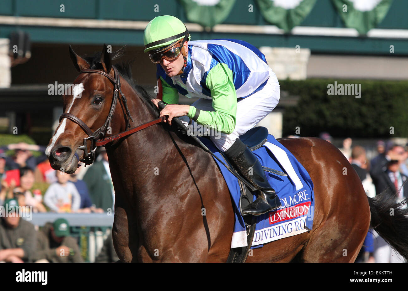 Coolmore stables hi-res stock photography and images - Alamy