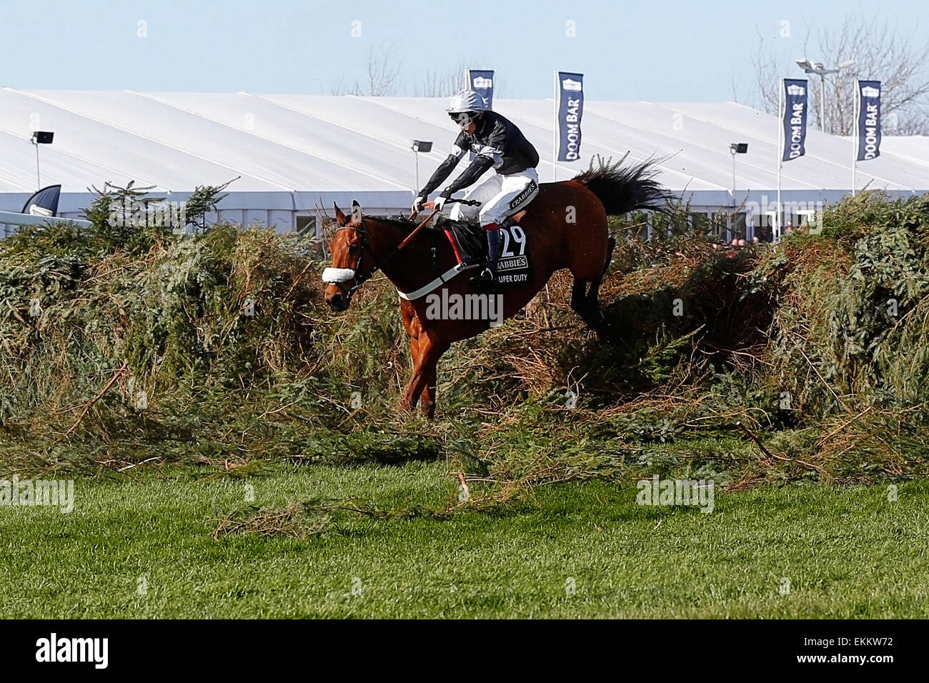 Grand national aintree chair hi-res stock photography and images - Alamy
