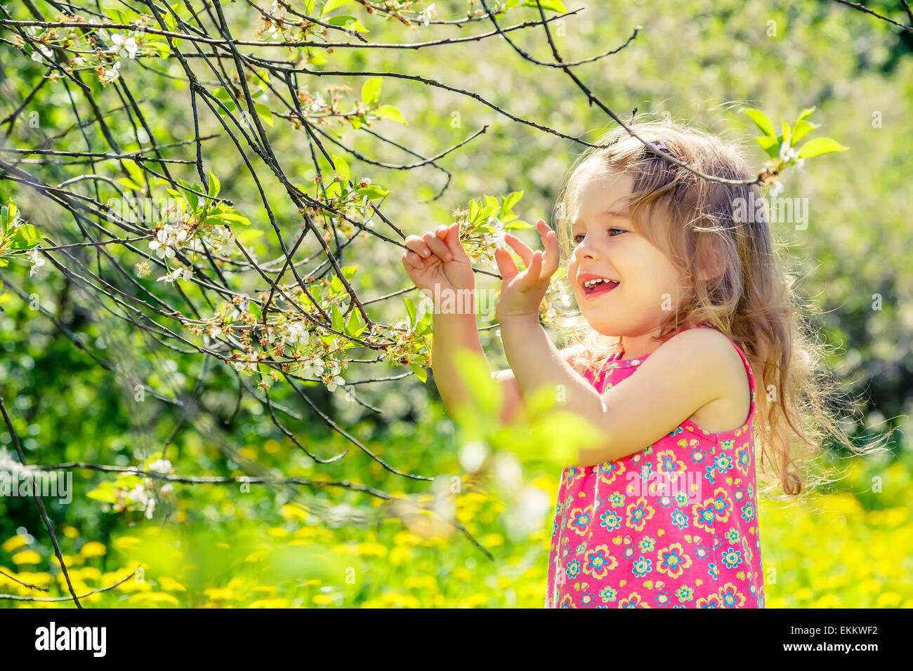 Happy little girl in spring sunny park Stock Photo - Alamy