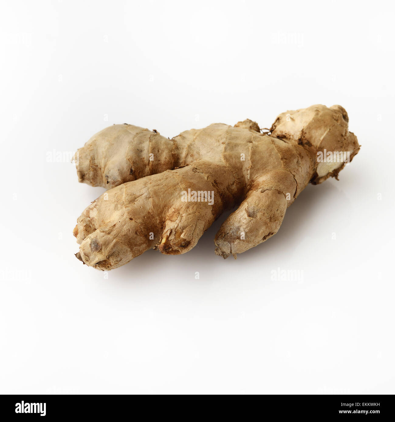 Root culture hi-res stock photography and images - Alamy
