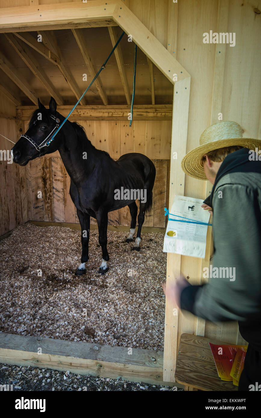 Rawlinsville, Pennsylvania, USA. Amish Mud Sale, held every spring in ...
