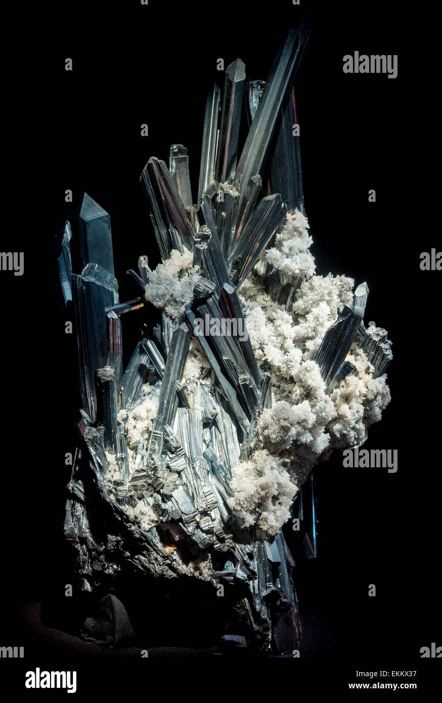 Elongated form hi-res stock photography and images - Alamy