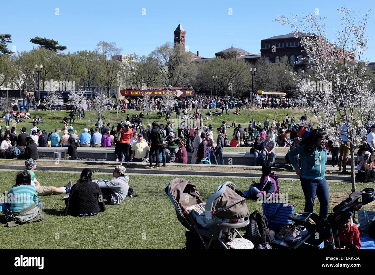 Washington dc crowds hi-res stock photography and images - Alamy