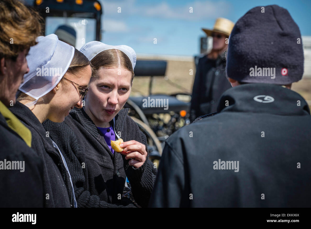 Livestock auction usa hi-res stock photography and images - Alamy