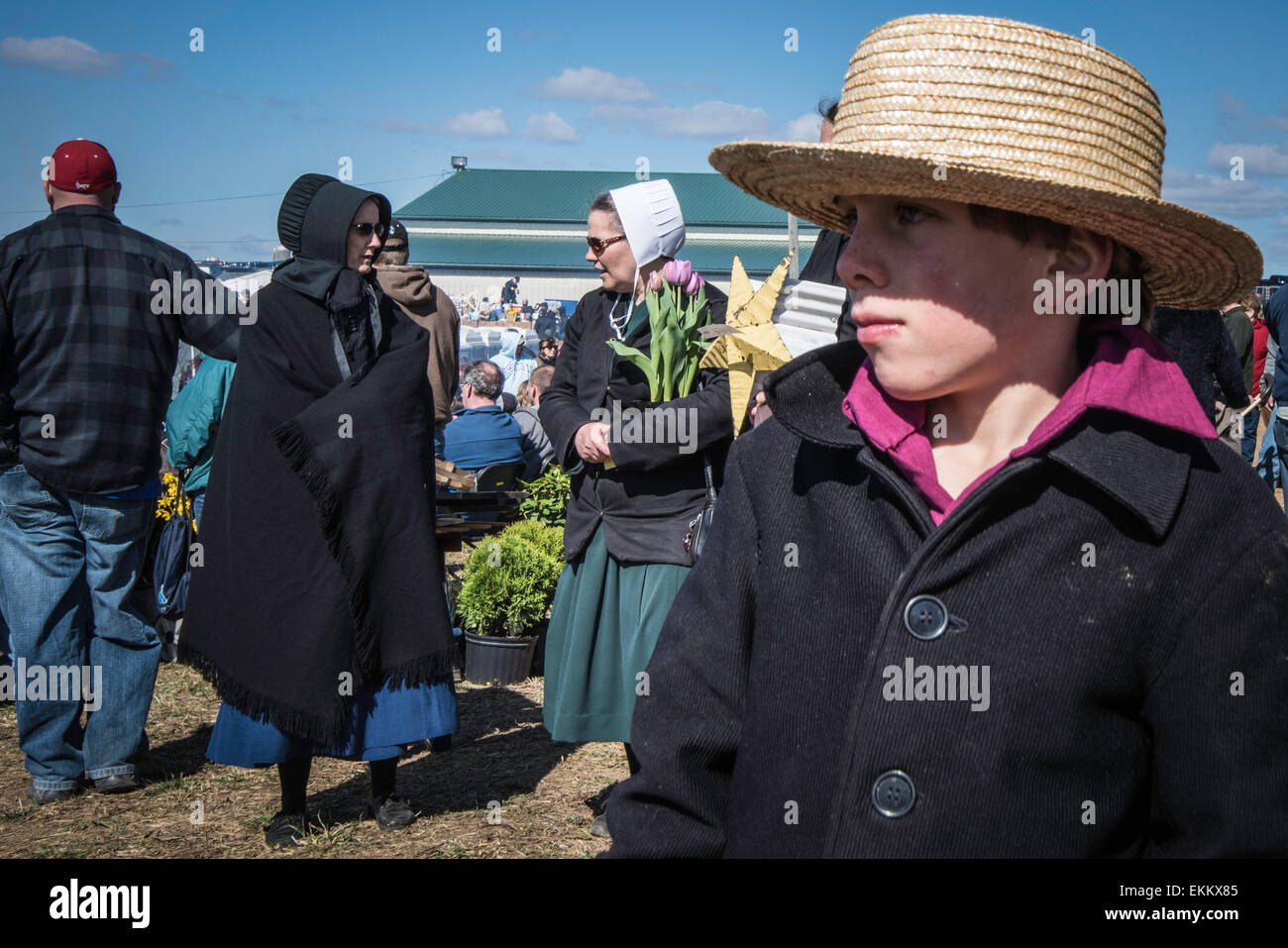 Rawlinsville, Pennsylvania, USA. Amish Mud Sale, held every spring in ...