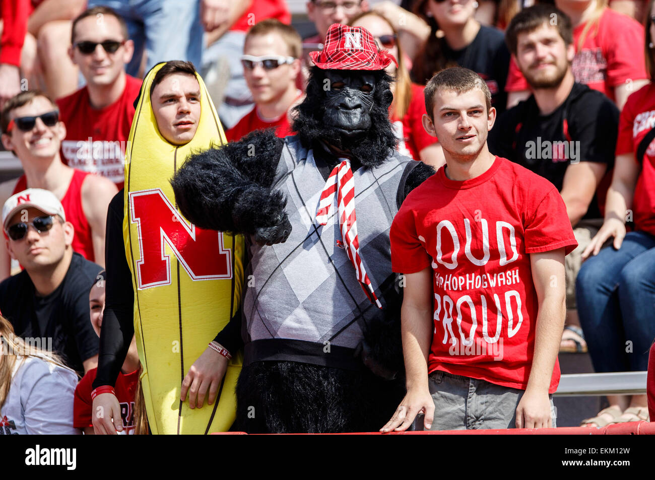 Lincoln, NE. USA. 11th Apr, 2015. Nebraska student section fans in ...