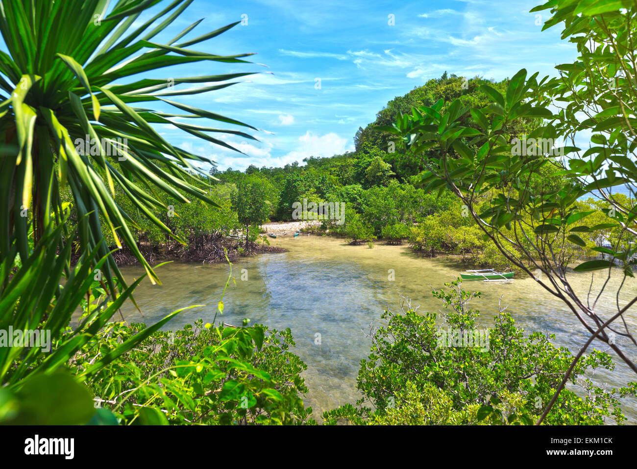 Tropical lagoon with Mangroves and small boats. Bohol. Philippines ...