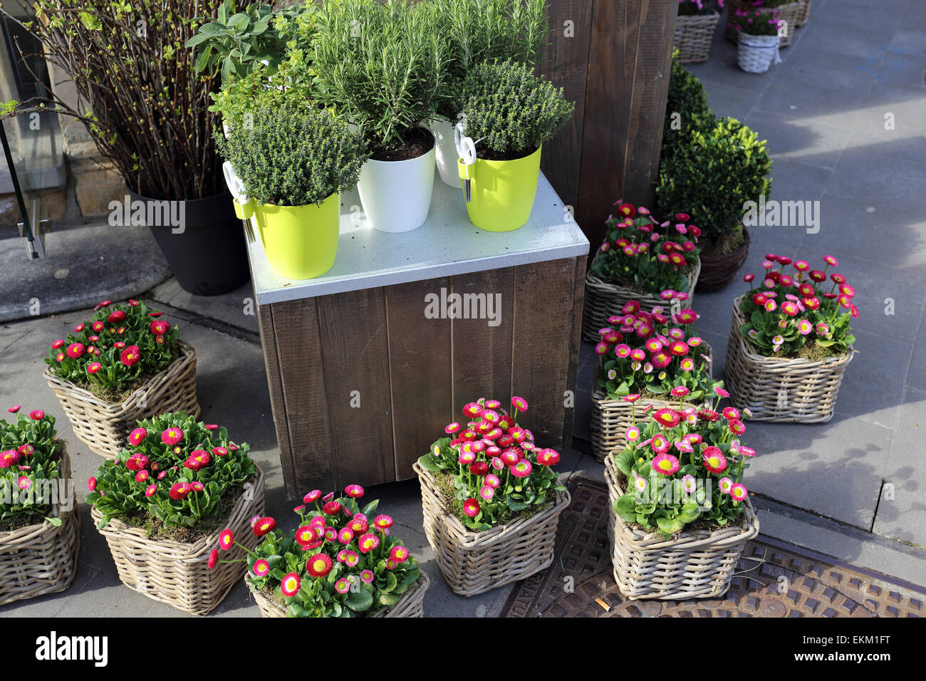 Stand store hi-res stock photography and images - Alamy