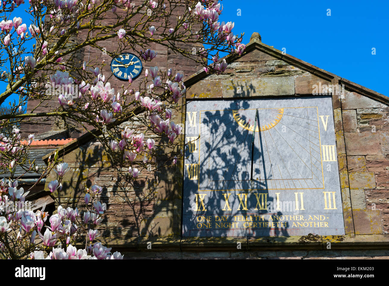 Spring blossom and the sundial of St Peter and St Paul's Church in ...