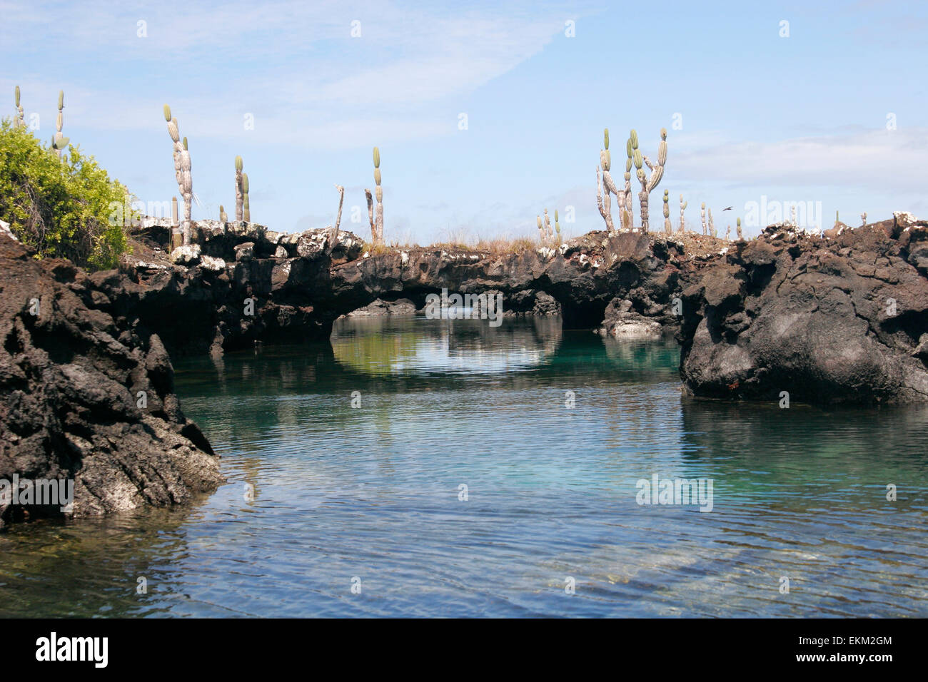 Volcanic lava bridges at Los Tuneles, Isabela Island, Galapagos Islands ...