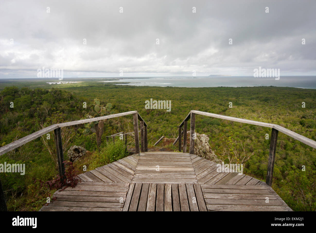 Observation platform on Isabela Island, Galapagos Islands, Ecuador ...
