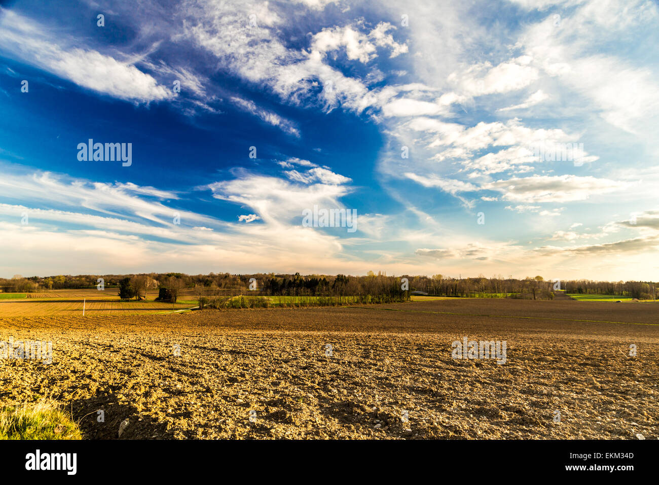 an abandoned and ruined farm in the fields of Italy Stock Photo - Alamy