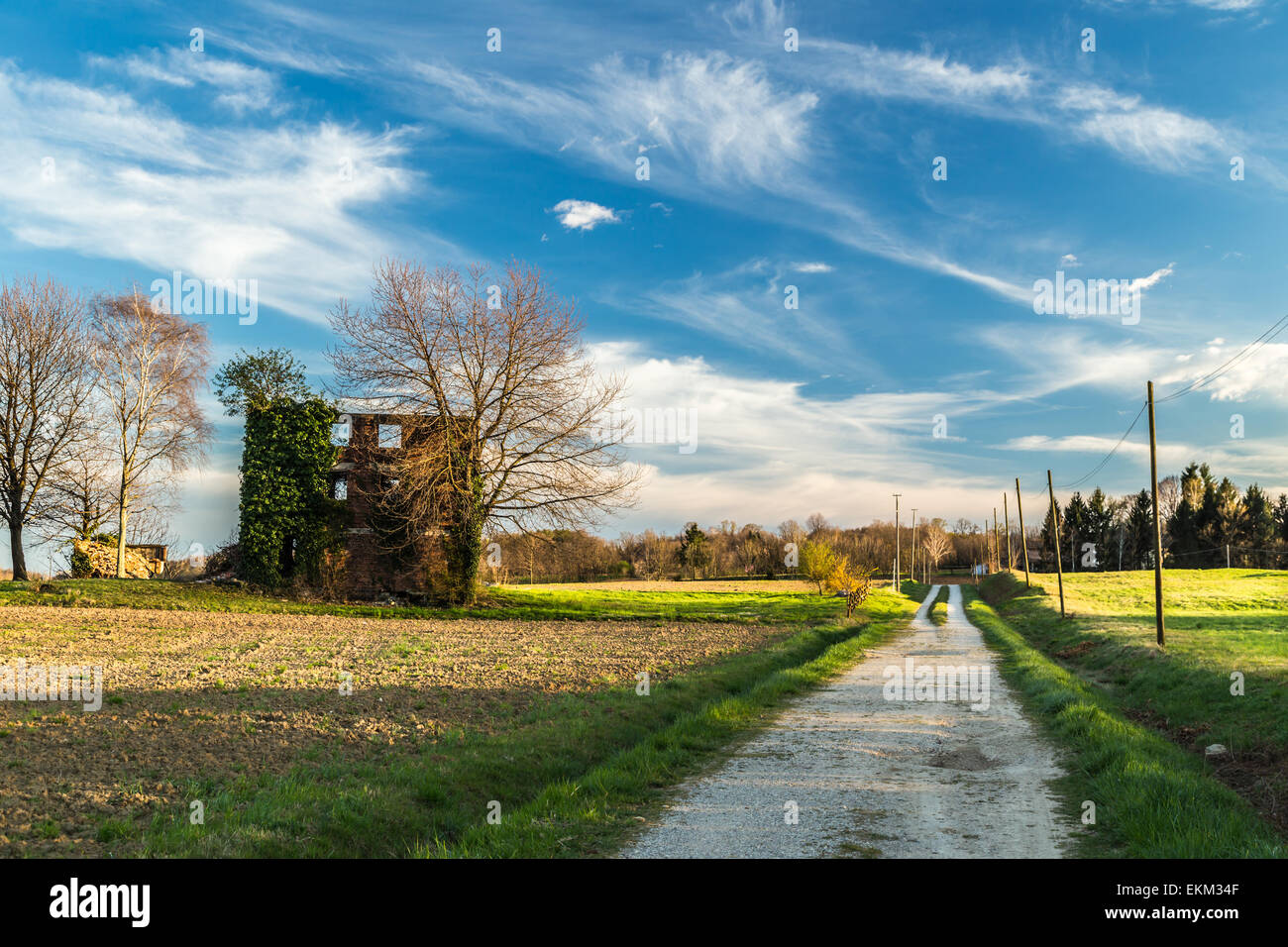 an abandoned and ruined farm in the fields of Italy Stock Photo - Alamy