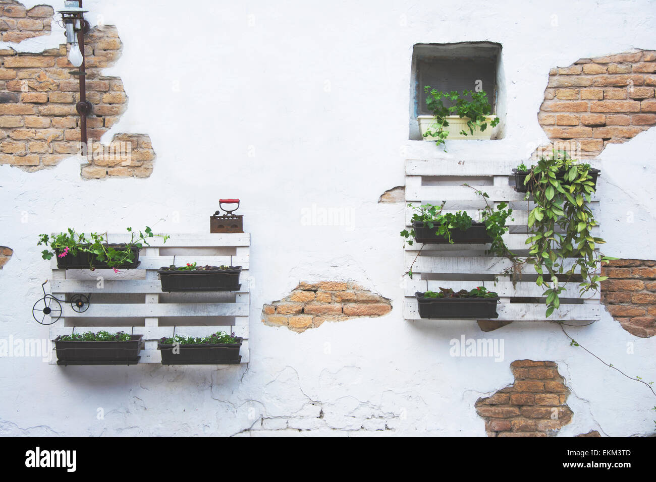 White storage industrial pallet used in gardening for a wall decoration ...