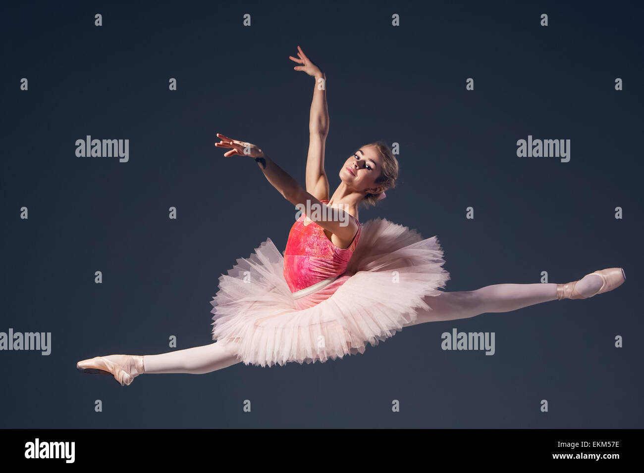 Beautiful female ballet dancer on a grey background. Ballerina is wearing pink tutu and pointe ...