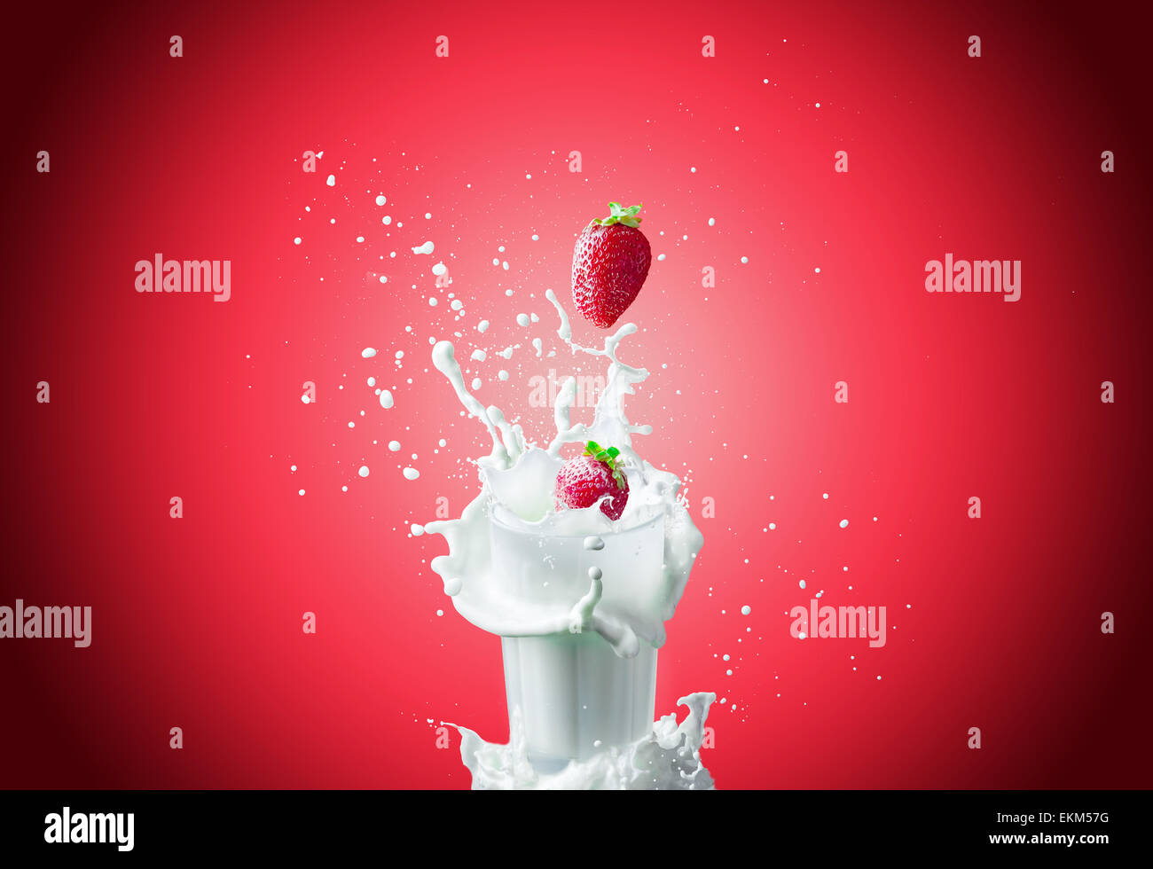 View of nice fresh red strawberry falling down in to the glass milk ...