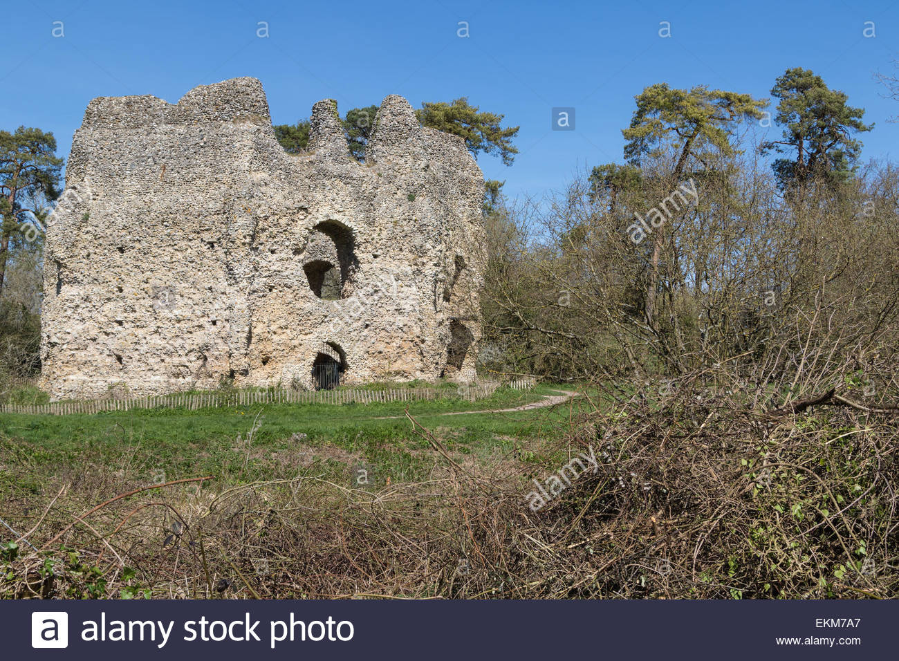 King David Ii High Resolution Stock Photography and Images - Alamy