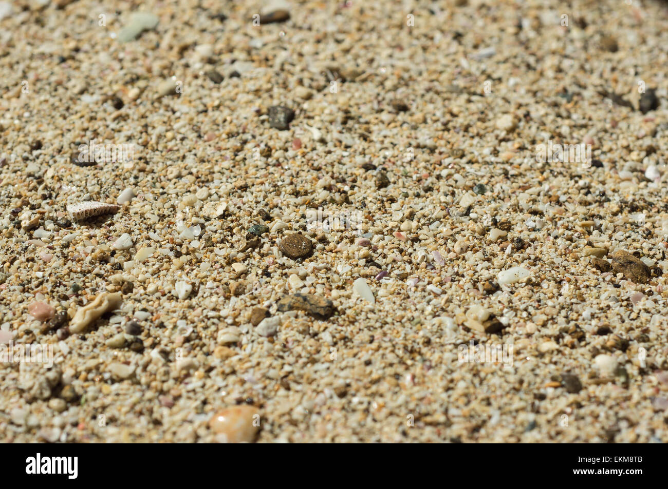Background from sea sand Stock Photo - Alamy
