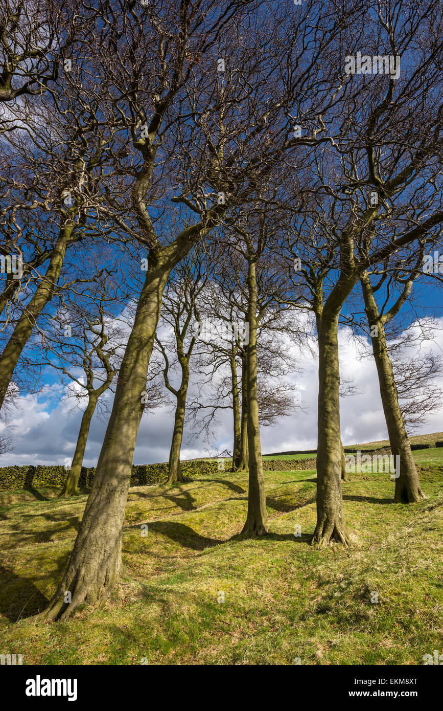Hayfield Village Peak District High Resolution Stock Photography and ...