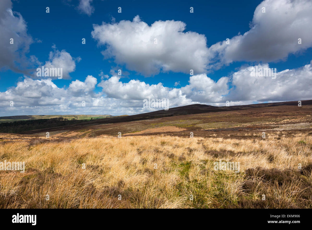 Derbyshire moors hi-res stock photography and images - Alamy