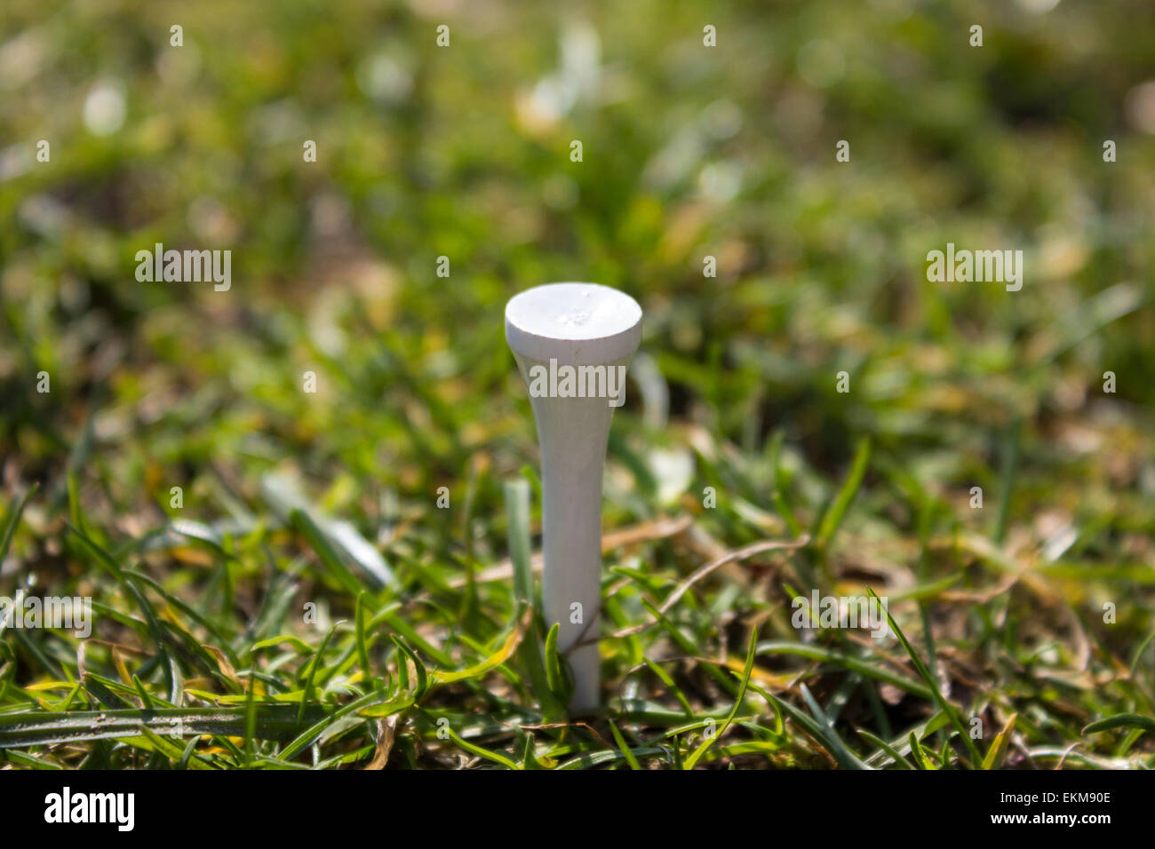 Wooden tee hi-res stock photography and images - Alamy