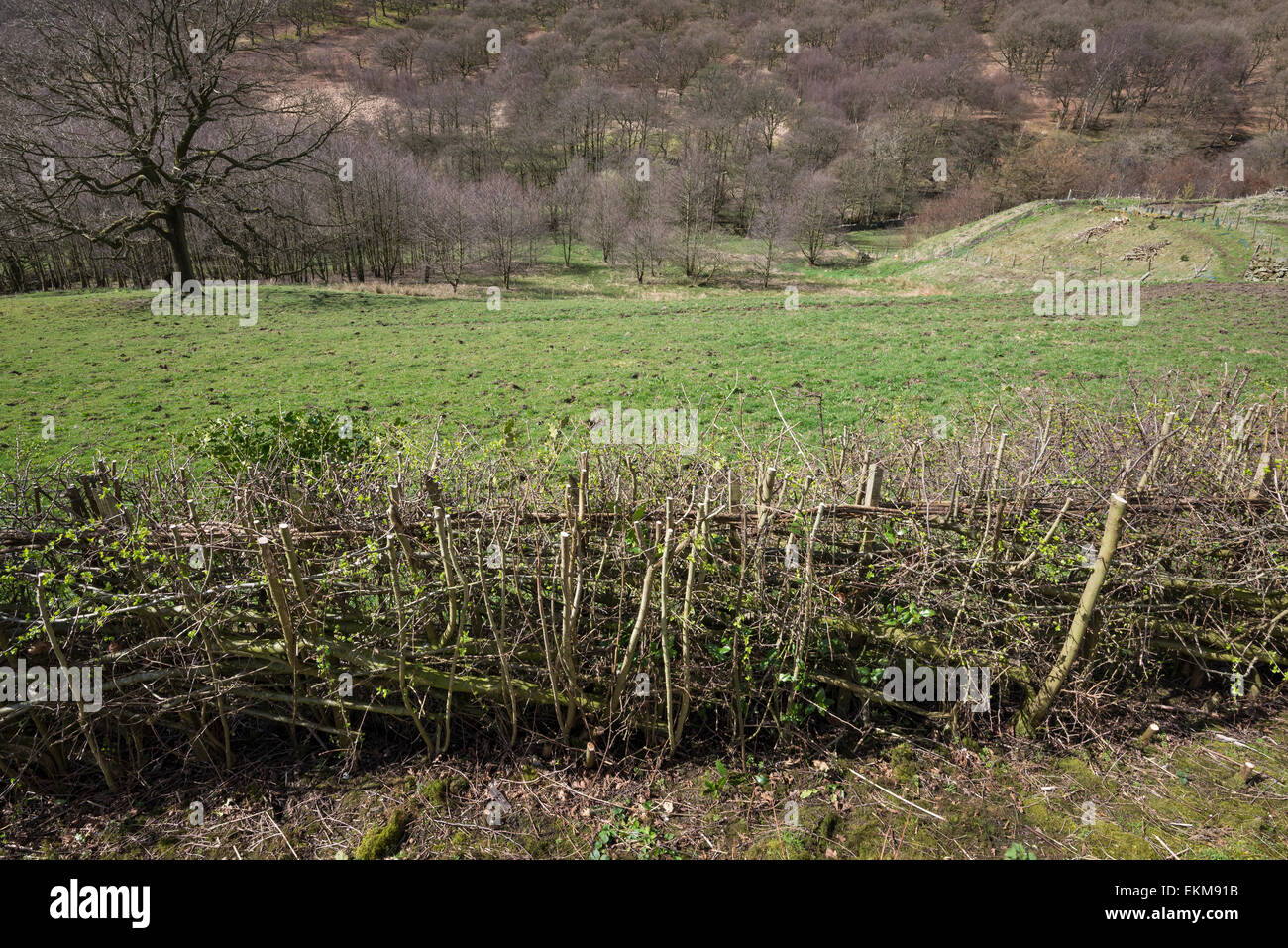 Hayfield Village Peak District High Resolution Stock Photography and ...
