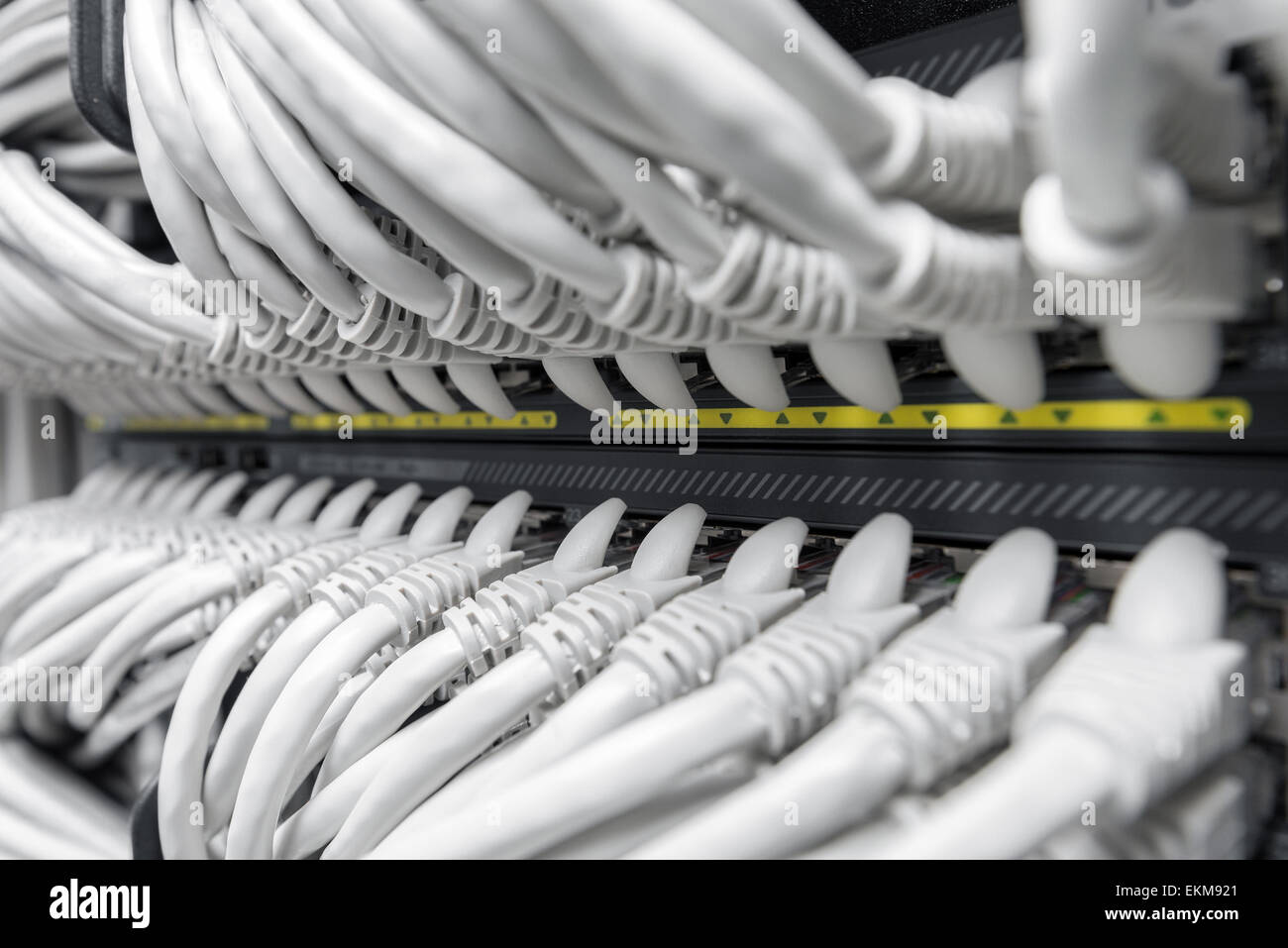 Network Gigabit Smart Switch with network cables installed in the rack ...