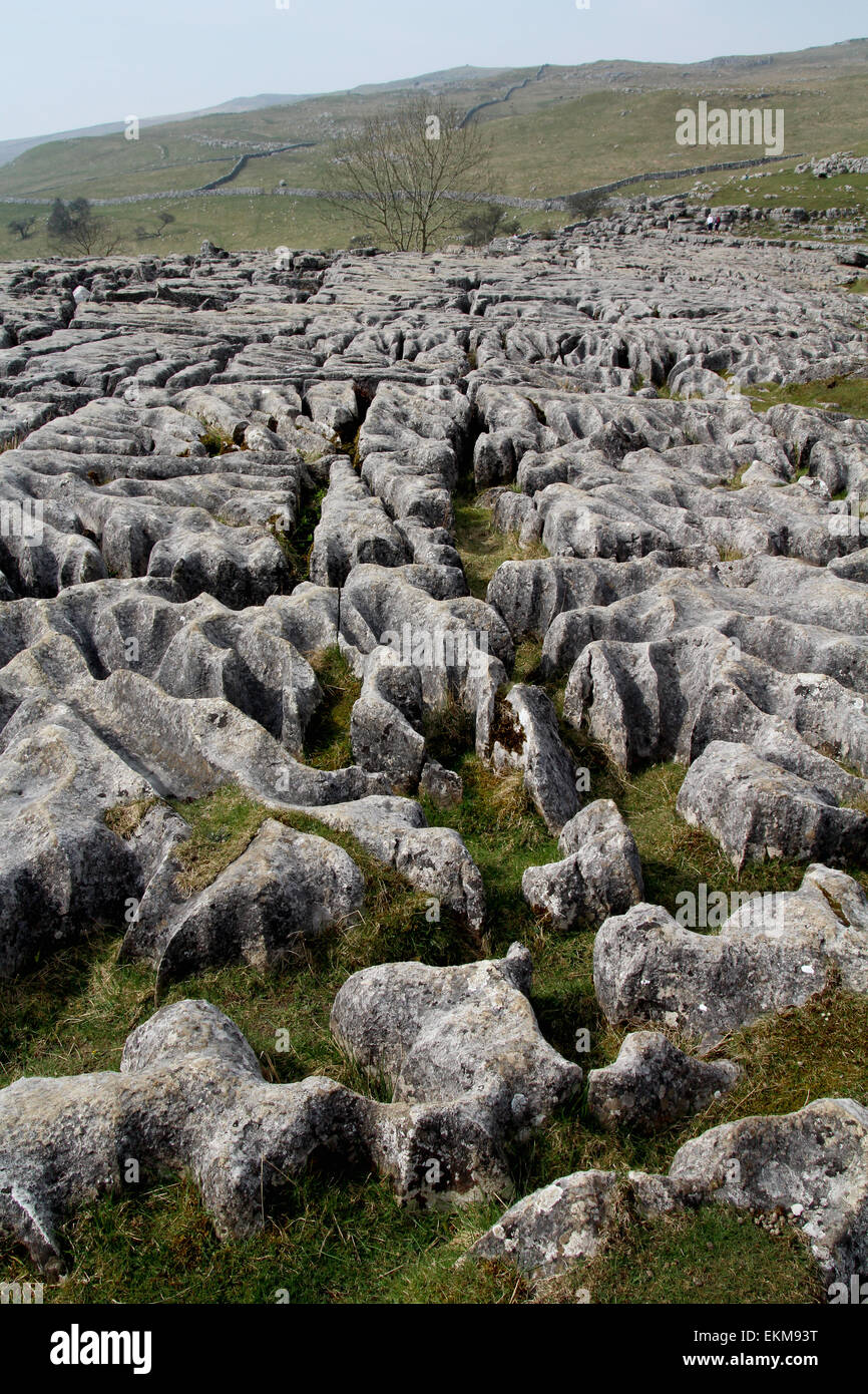 Limestone pavement at Malham Cove Stock Photo - Alamy