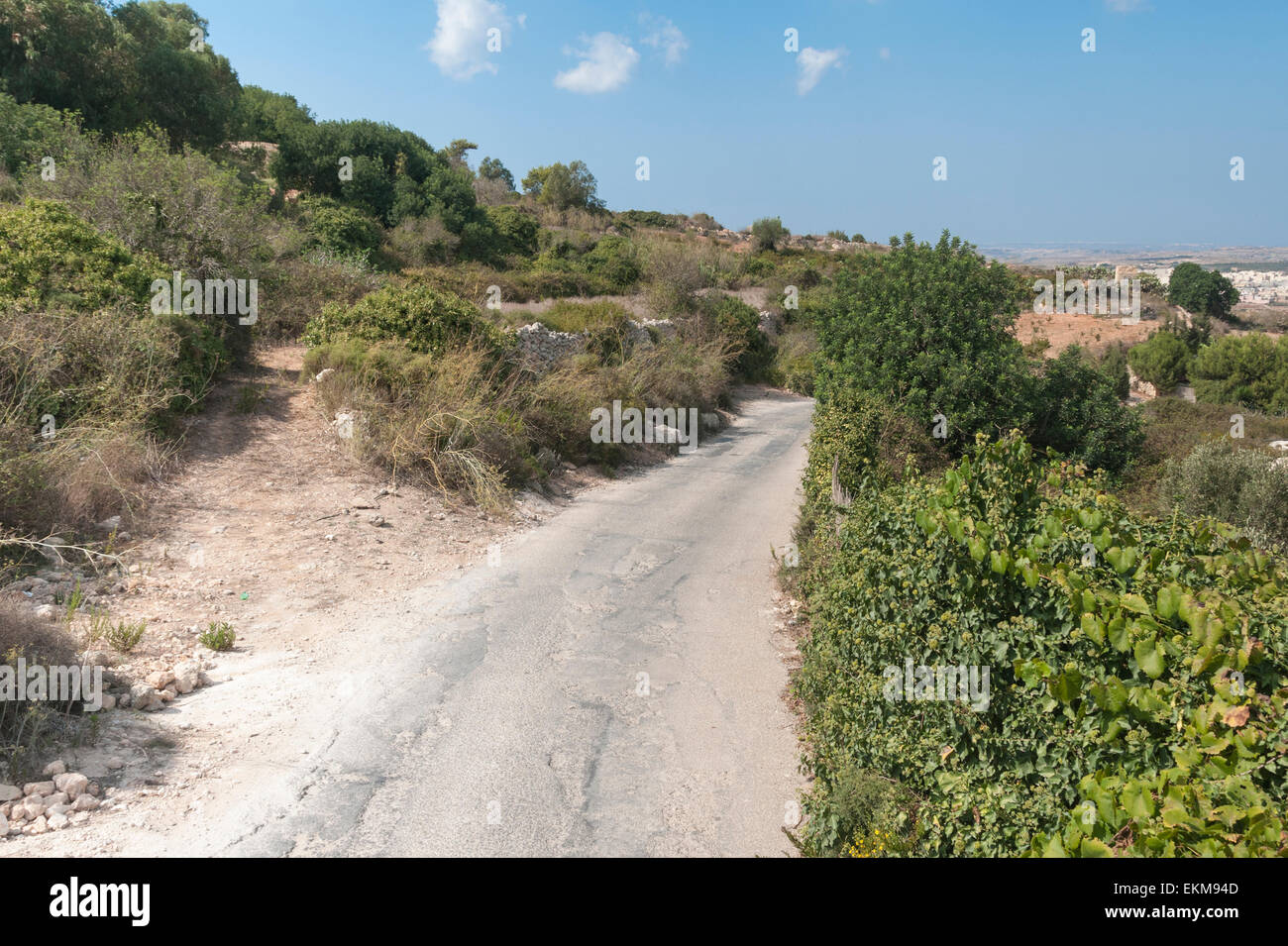 typical nature with dry lands and green lants on the spanish island ...