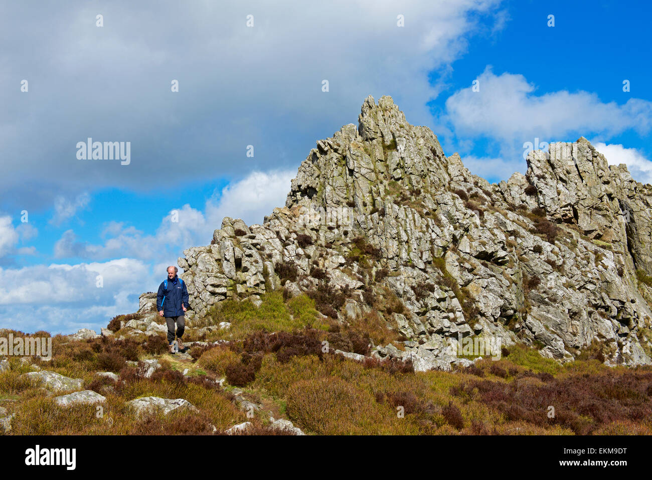 The Stiperstones, a national nature reserve in Shropshire, England UK ...