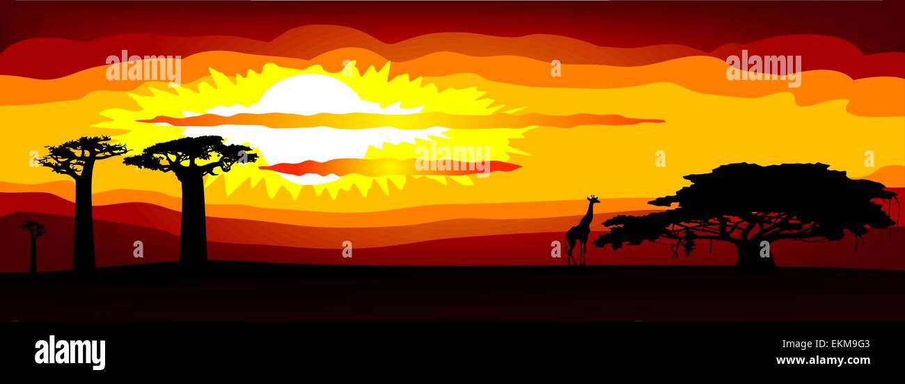 sunset in Africa - vector Stock Vector Image & Art - Alamy