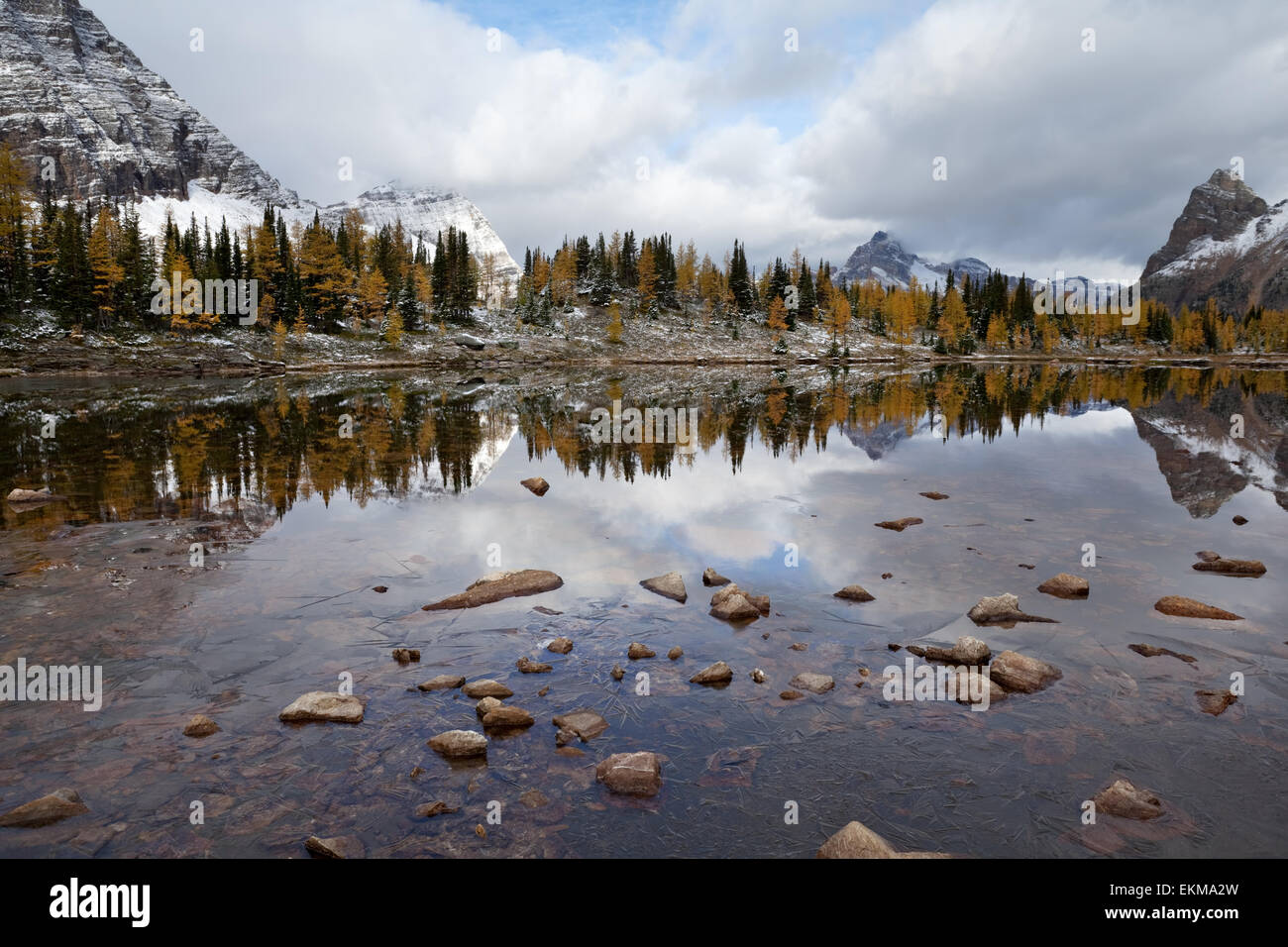 Autumn landscape at Opabin plateau. Lake O'Hara area. Yoho National ...