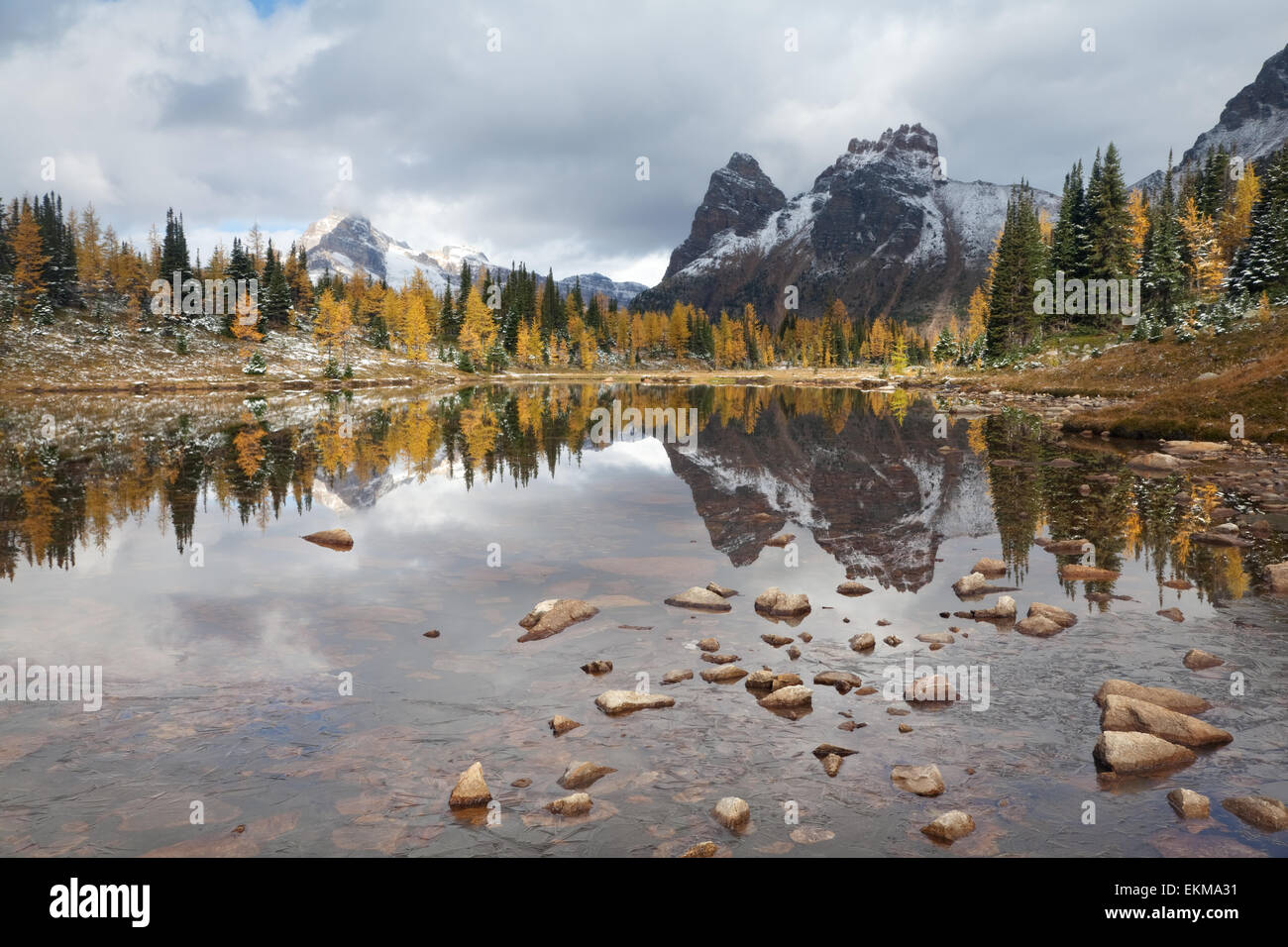Autumn landscape at Opabin plateau. Lake O'Hara area. Yoho National ...