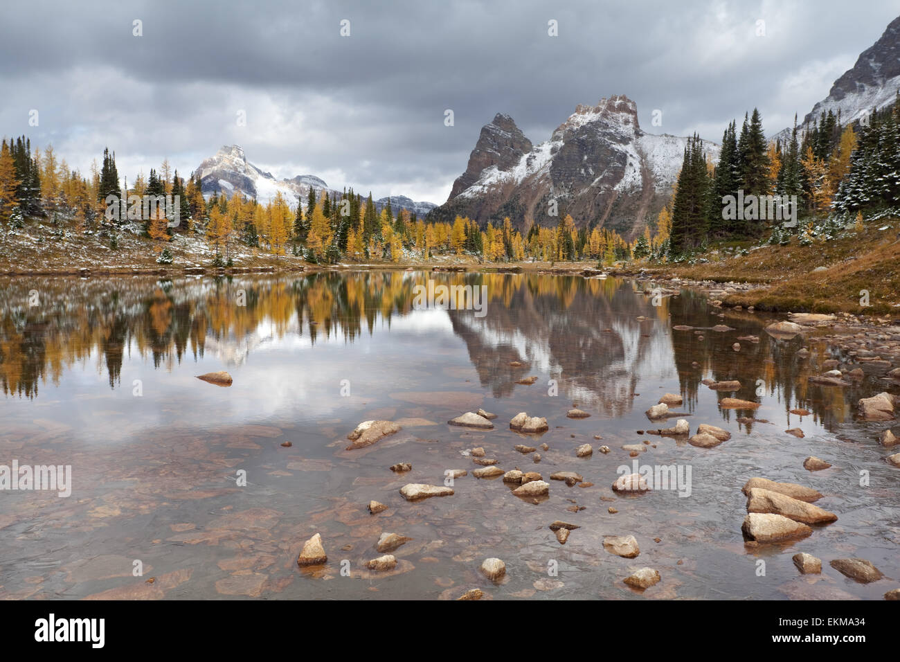 Autumn landscape at Opabin plateau. Lake O'Hara area. Yoho National ...