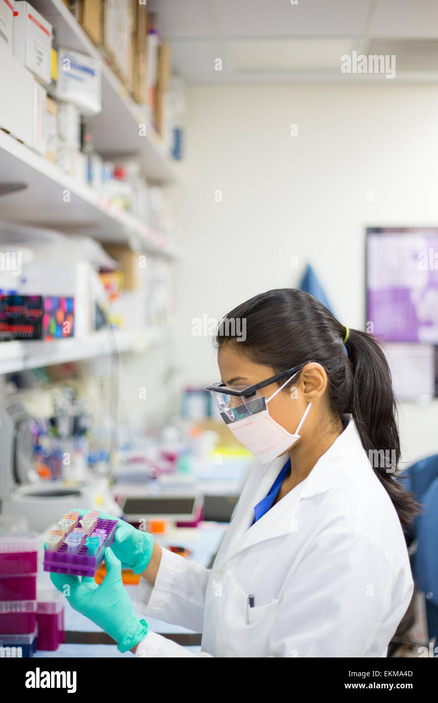 Scientist in labcoat doing experiments hi-res stock photography and ...