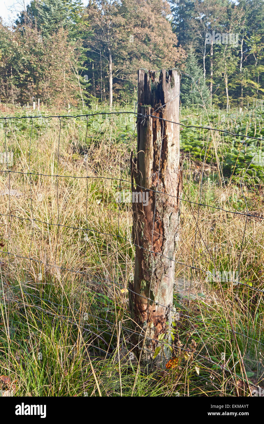 Old fence post hi-res stock photography and images - Alamy