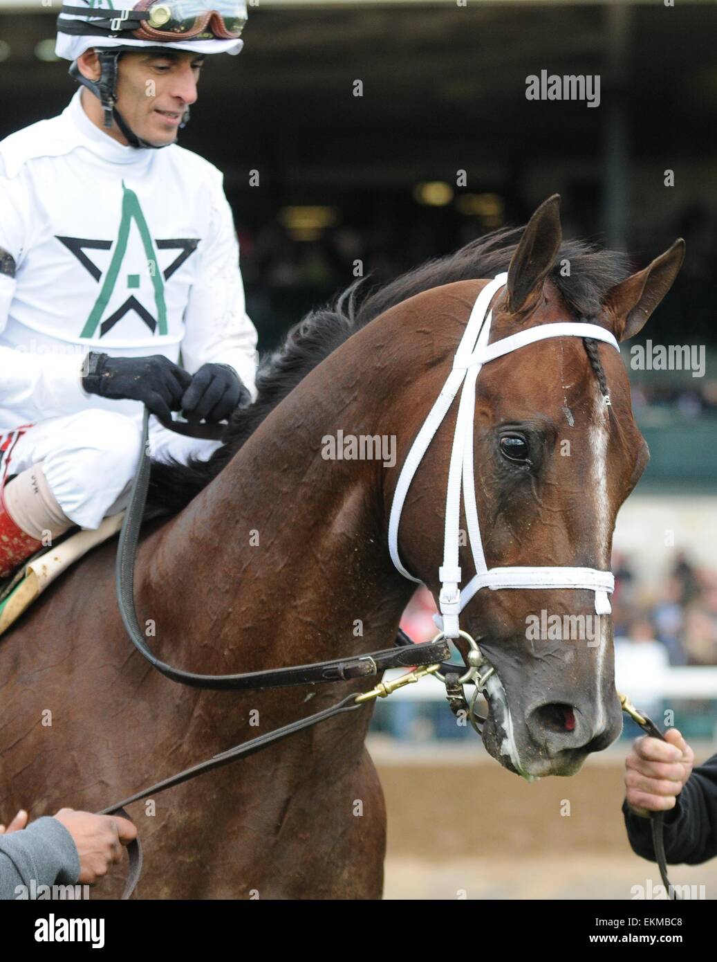Winstar farm thoroughbred horse farm hi-res stock photography and images - Alamy