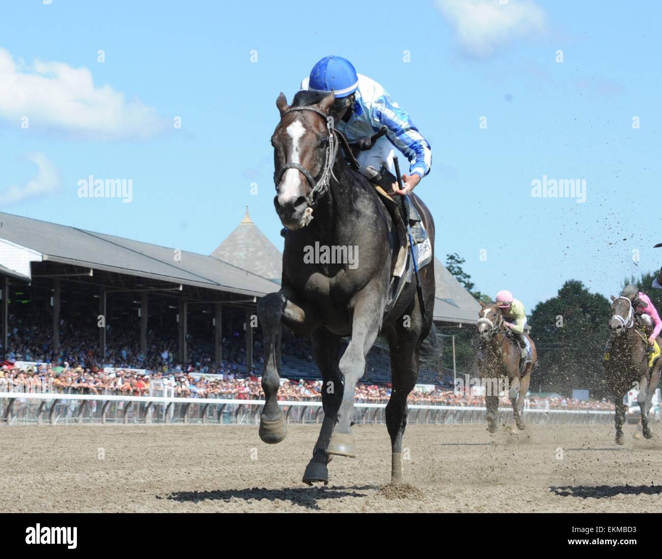 American eclipse horse hi-res stock photography and images - Alamy