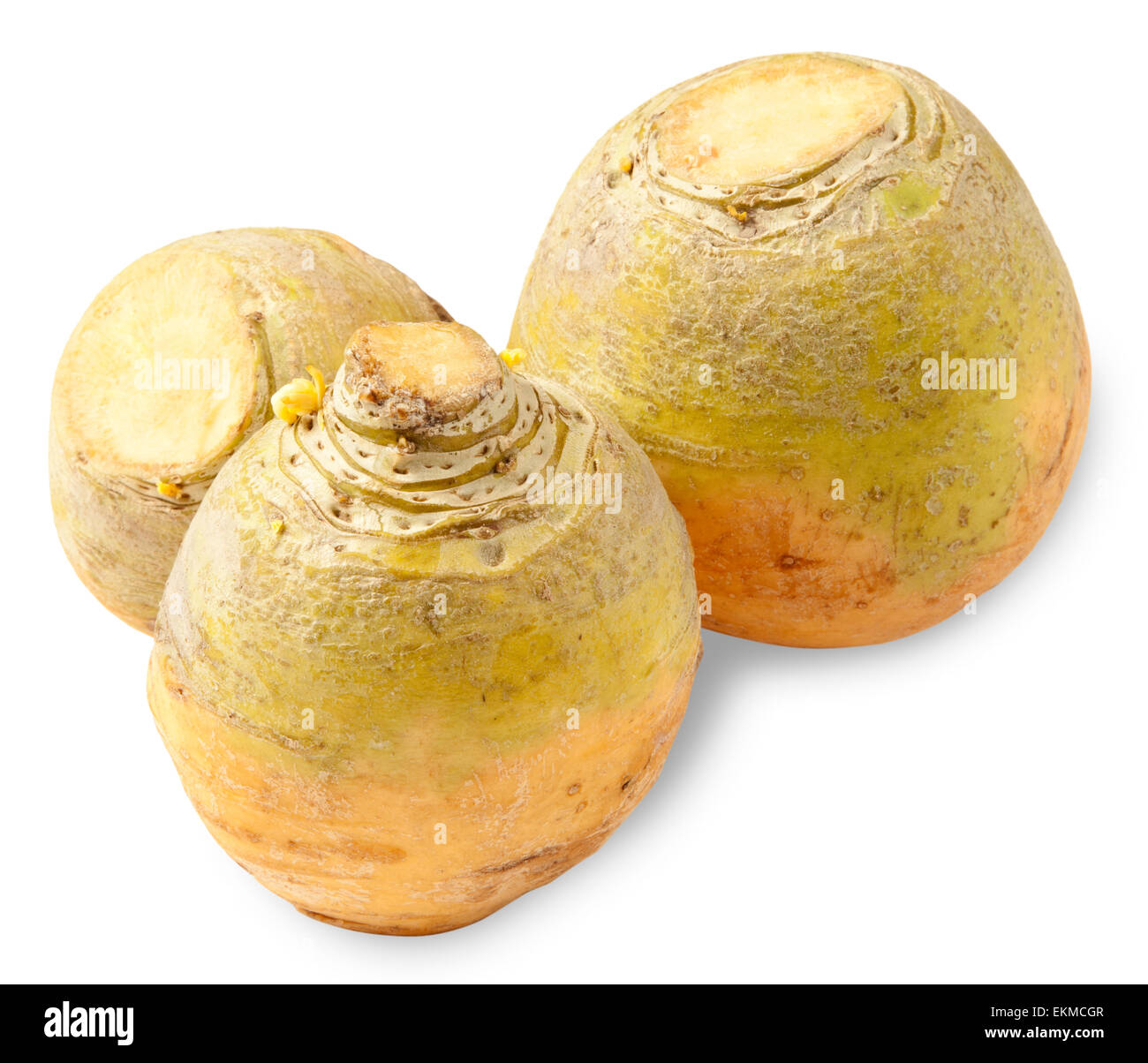 Swede isolated against white background Stock Photo - Alamy