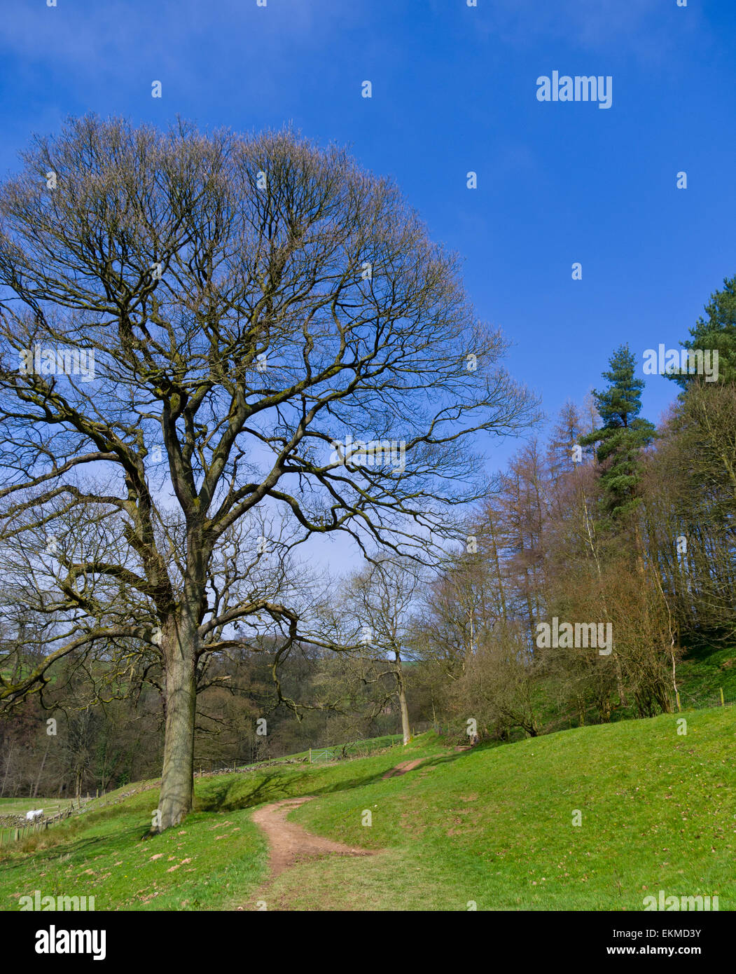 The staffordshire way long distance footpath hi-res stock photography ...