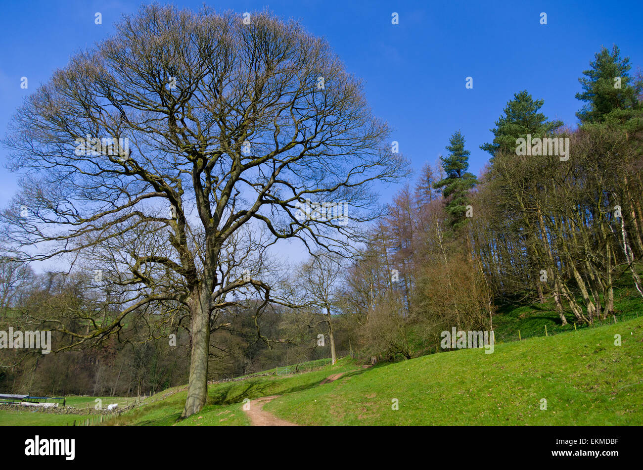 The staffordshire way long distance footpath hi-res stock photography ...