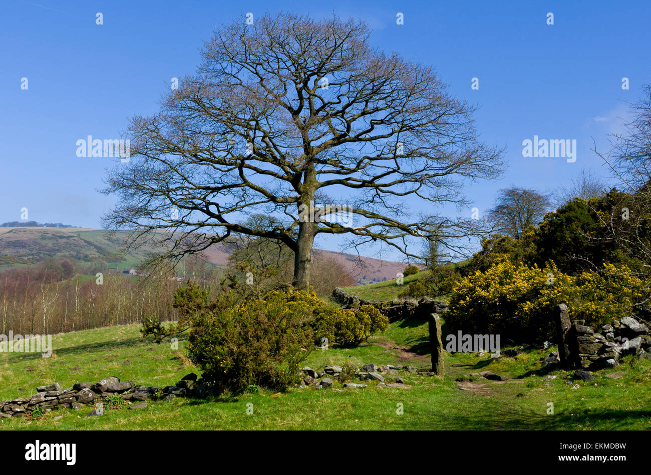 The staffordshire way long distance footpath hi-res stock photography ...