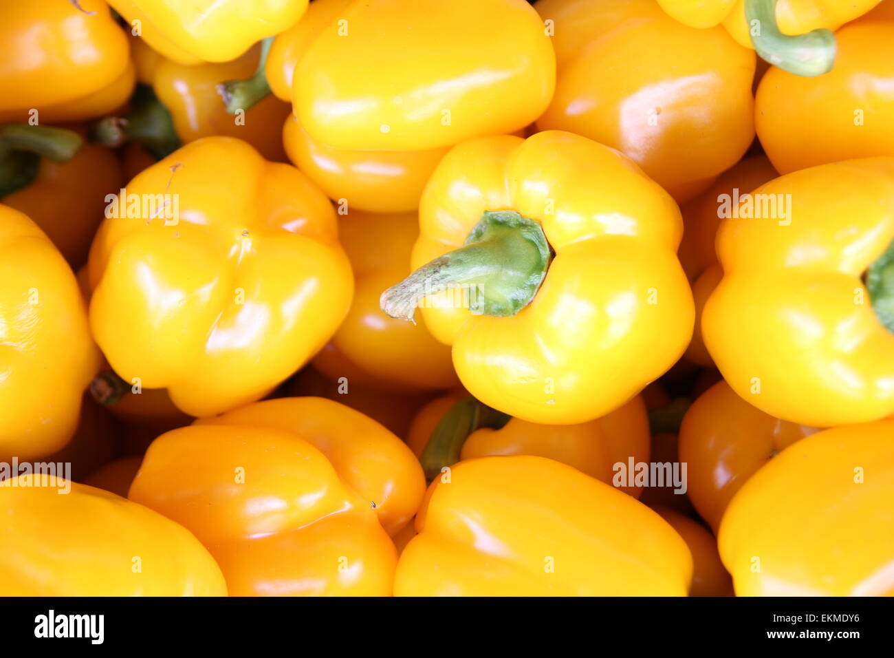Tri coloured peppers hi-res stock photography and images - Alamy