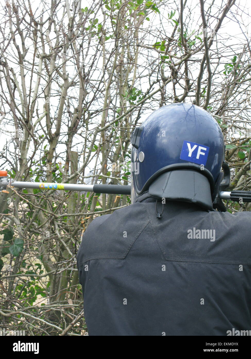 Pruning hedge angle hi-res stock photography and images - Alamy