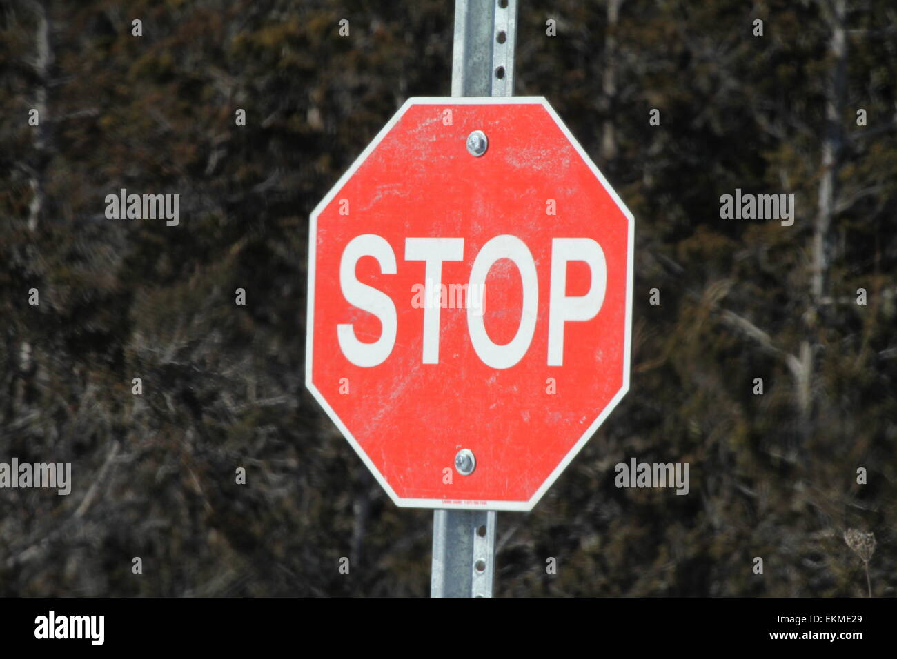 Stop-Sign, Red with white lettering on a metal post Stock Photo - Alamy