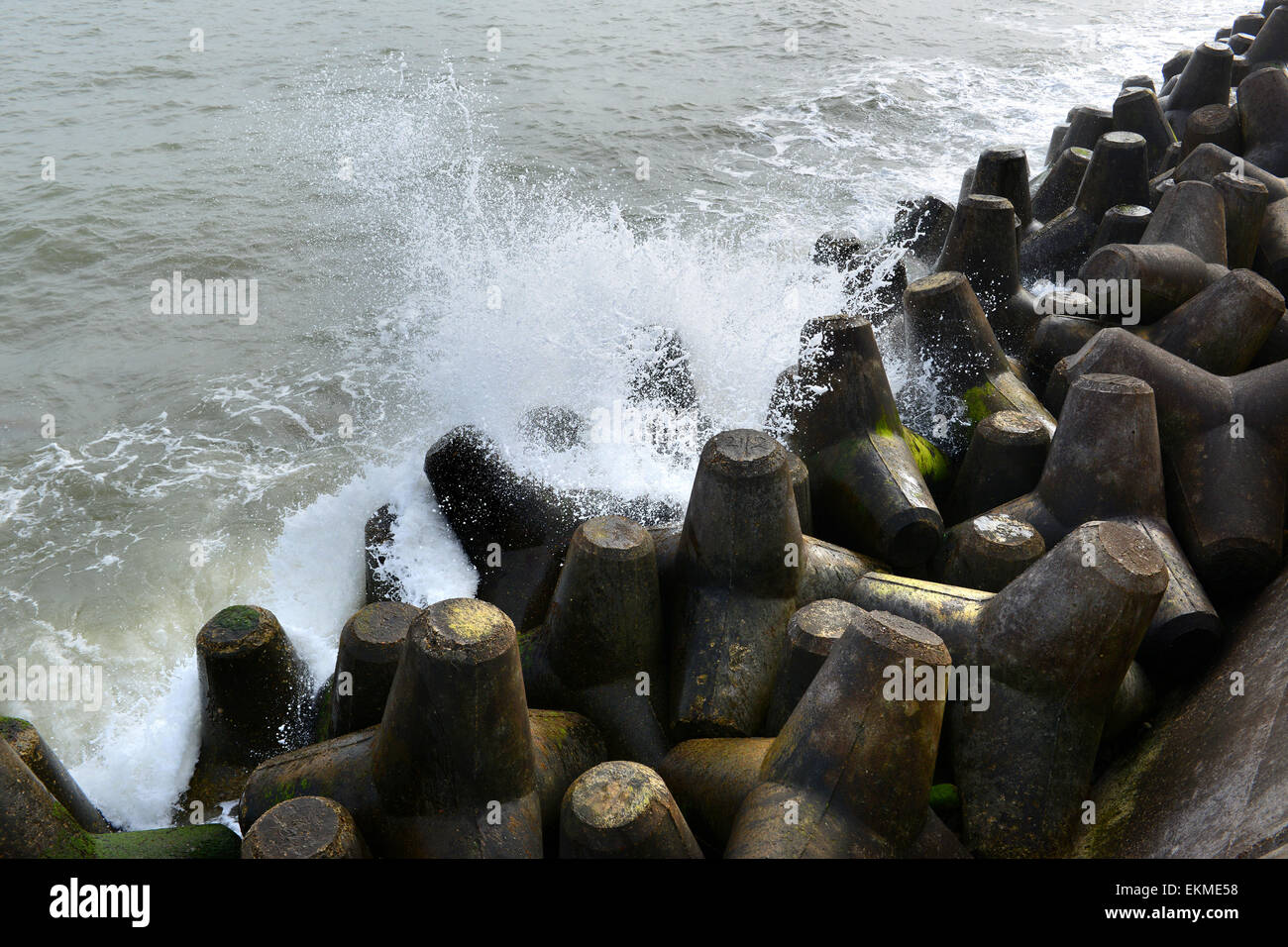 Concrete tetrapod tetrapods coastal sea defences Stock Photo: 80970100 ...