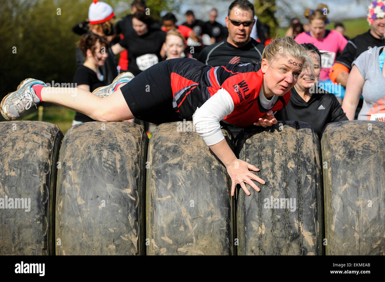 Female wolf running hi-res stock photography and images - Alamy