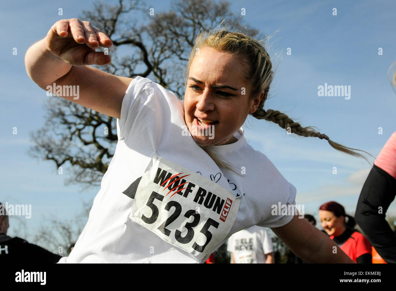 Leaminghton Spa, Warwickshire, UK, Sunday, 12th April, 2015. The Wolf ...