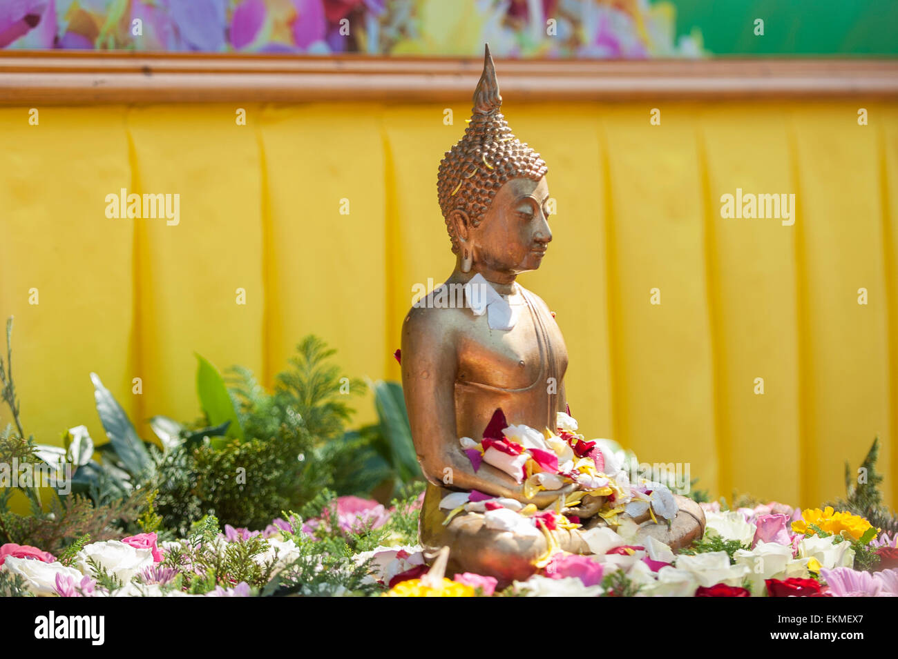 Miss songkran beauty pageant songkran hi-res stock photography and ...